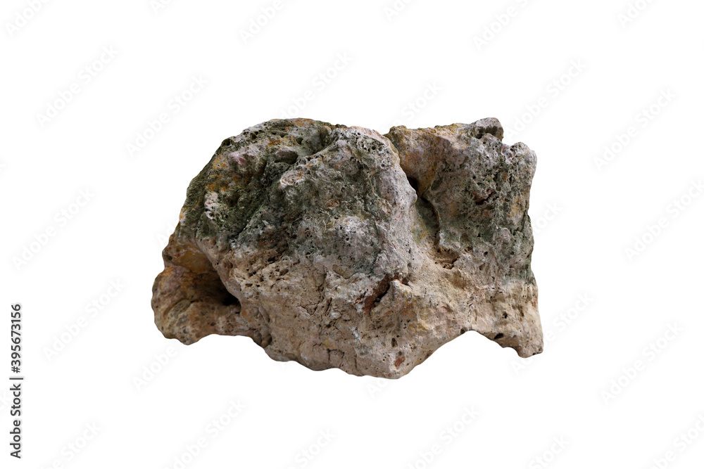 Sponge stones are used to decorate natural gardens, used for gardens ...