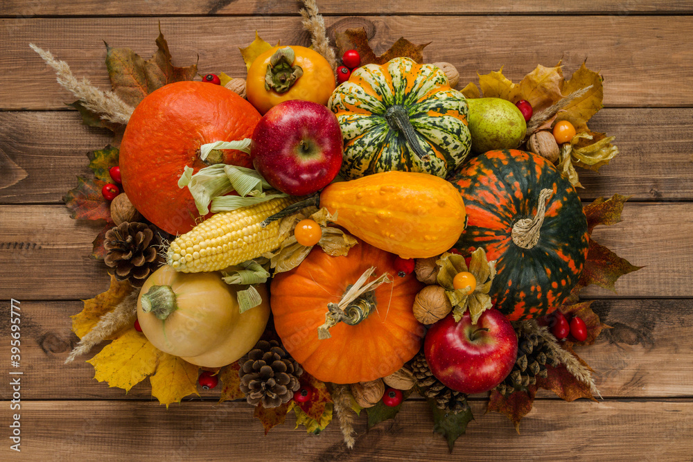Variety of edible and decorative gourds and pumpkins. Flat lay ...