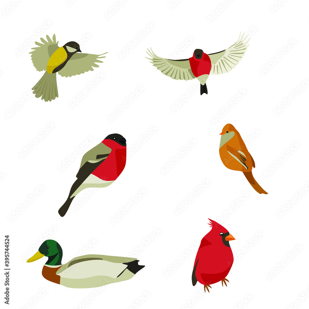 bird clip art set-hand drawn bird breeds-digital PNG vector-cute ...