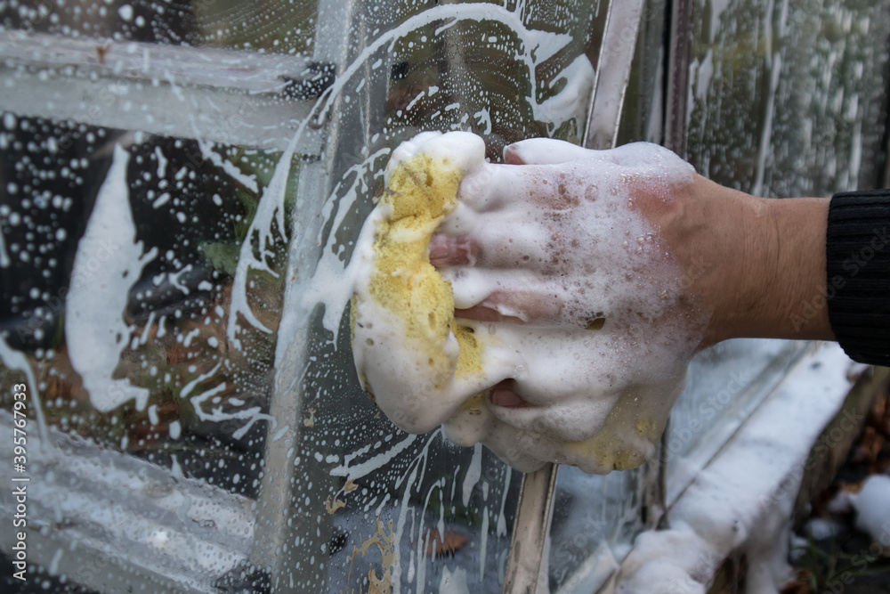 Man washes the inside of a greenhouse conservatory glass windows with a ...