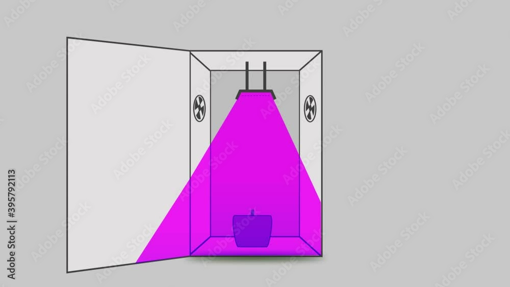 Animated 2D grow box concept of marijuana plant growth. The box opens ...