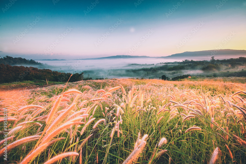 Beautiful meadow and fog in morning at Khao Kho mountain that one of ...