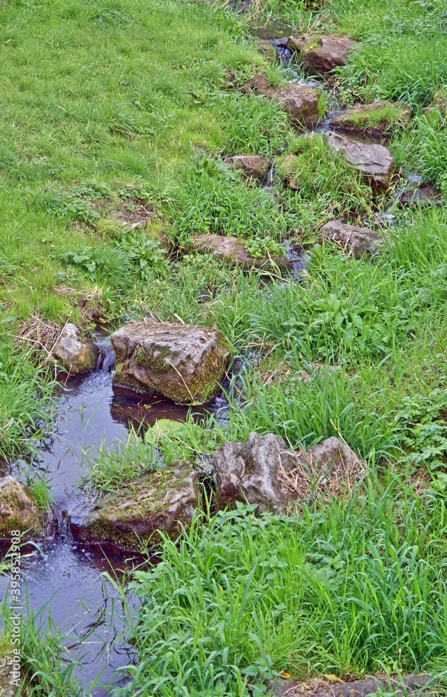 A fish ladder in a renatured environment, designed as a natural stream ...