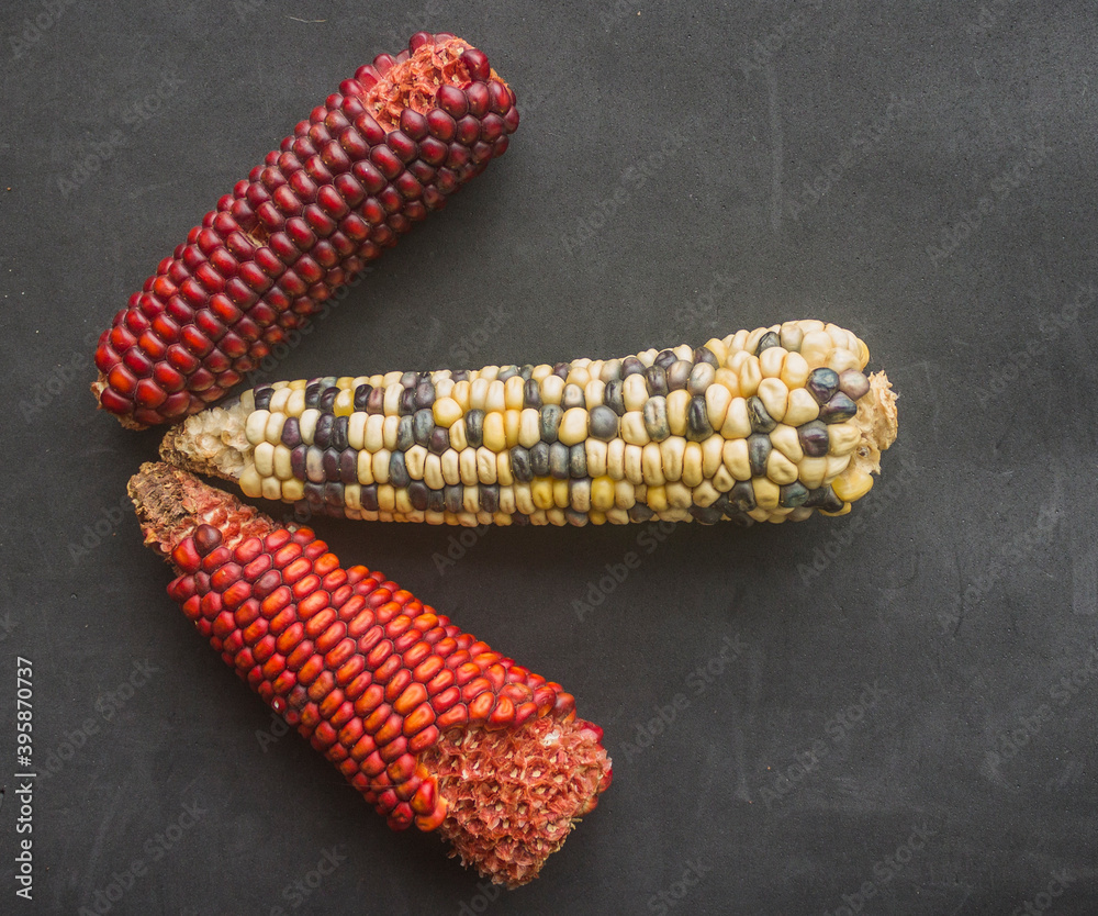 comida, maíz, ciudad de México, cosecha, cosecha, frescura, nutrición ...