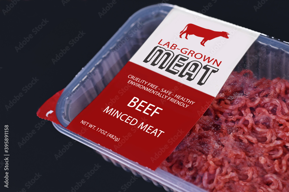 Lab grown cultured meat concept for artificial in vitro cell culture ...
