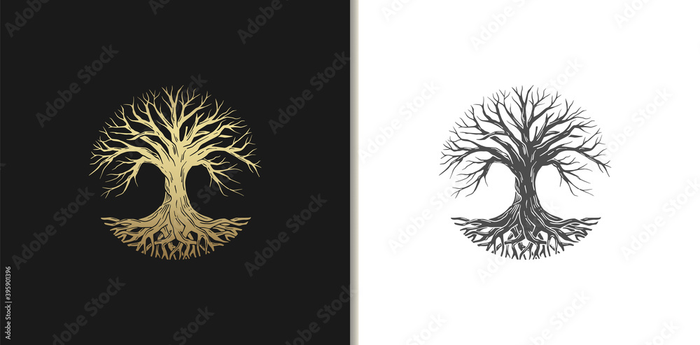 Root or tree, tree of life vector symbol with a circle shape. Beautiful ...