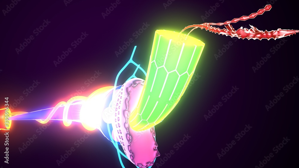 3d illustration of human body muscle tissue anatomy Stock Illustration ...