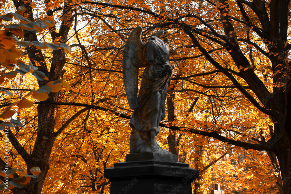 engel Stock Photo | Adobe Stock