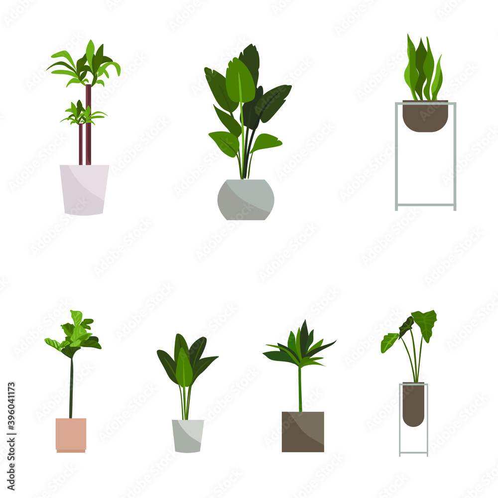 Indoor plants clipart-large Botanical clipart-interior clipart ...