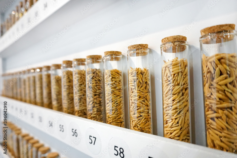 Many varieties of paddy and rice seeds in a clear glass jar.Various ...