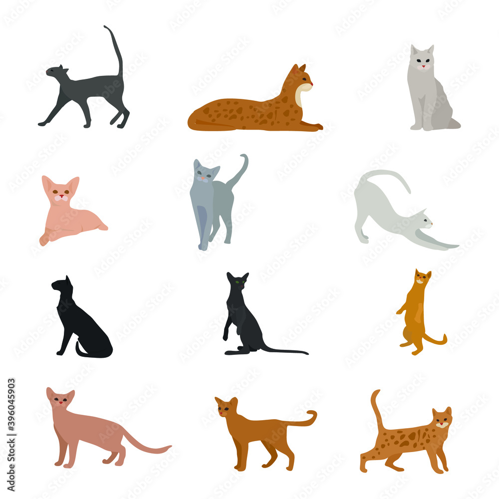 Cat clip art set-hand drawn cat breeds-digital SVG vector-cute animals ...