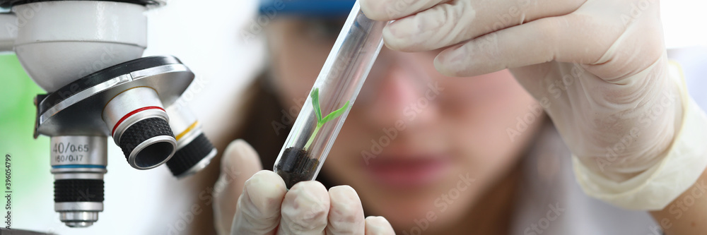 Woman in laboratory looks at soil with sprout. Agronomist creates ...