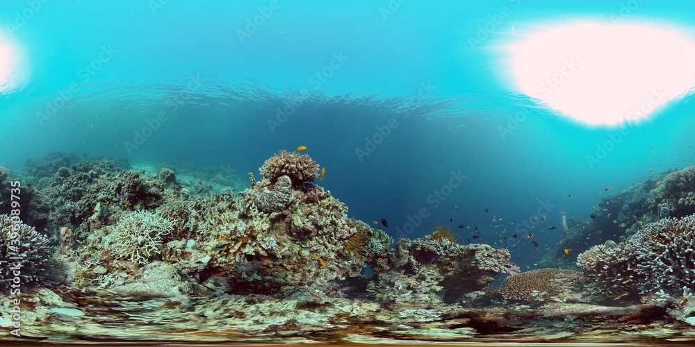 Coral Reef Fish Scene. Tropical underwater sea fish. Colourful tropical ...