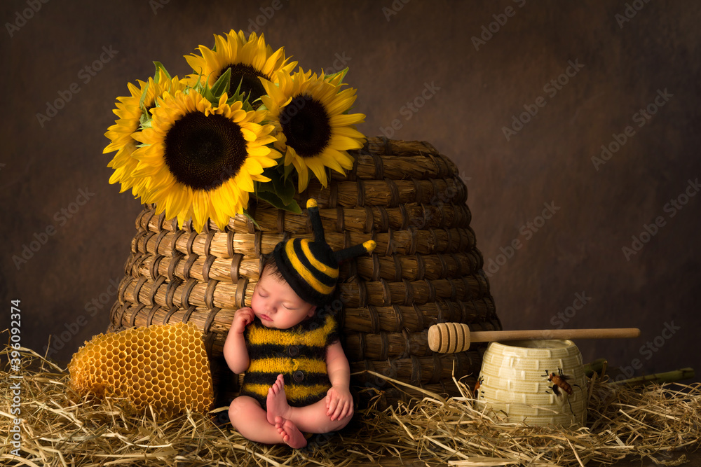 Beehive and baby in bee outfit Stock Photo | Adobe Stock
