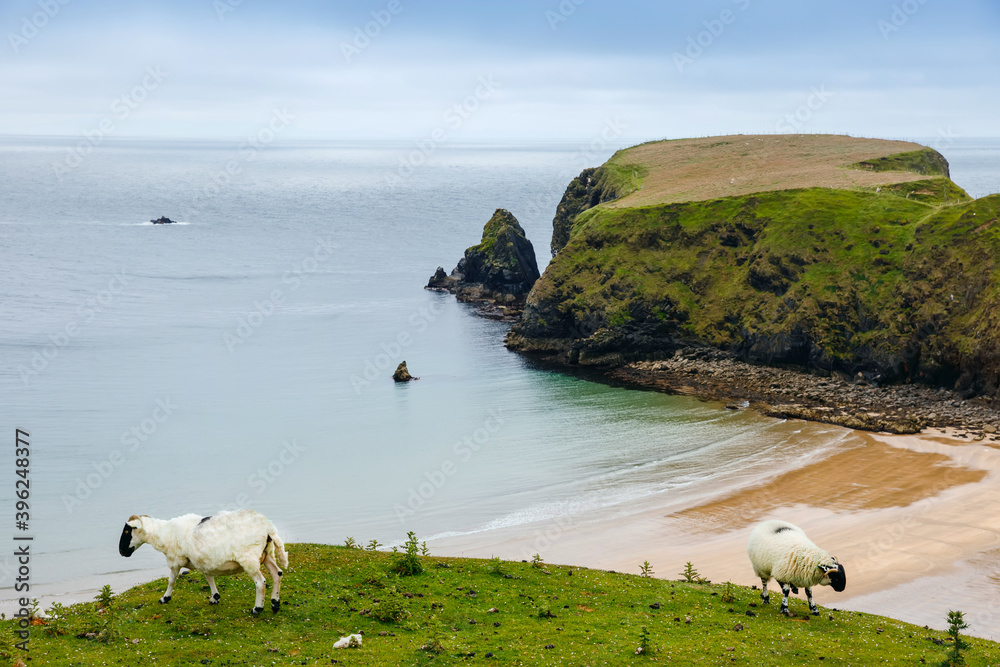Rugged landscape at Malin Head, County Donegal, Ireland. Beach with ...