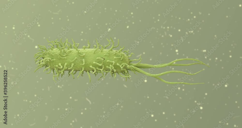 Bacteria Under The Microscope. Prokaryotic Cell animation. Stock ビデオ ...