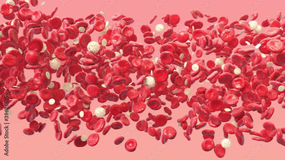Red Blood Cells in an artery. Blood Stream. Blood cells animation ...