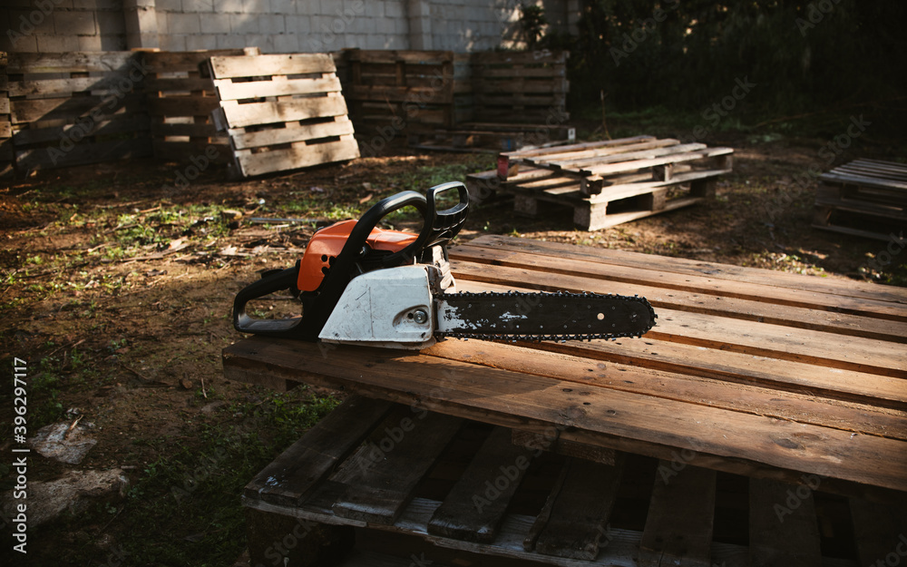 Man in the forest with chainsaw ready to cut down. Forest exploitation ...