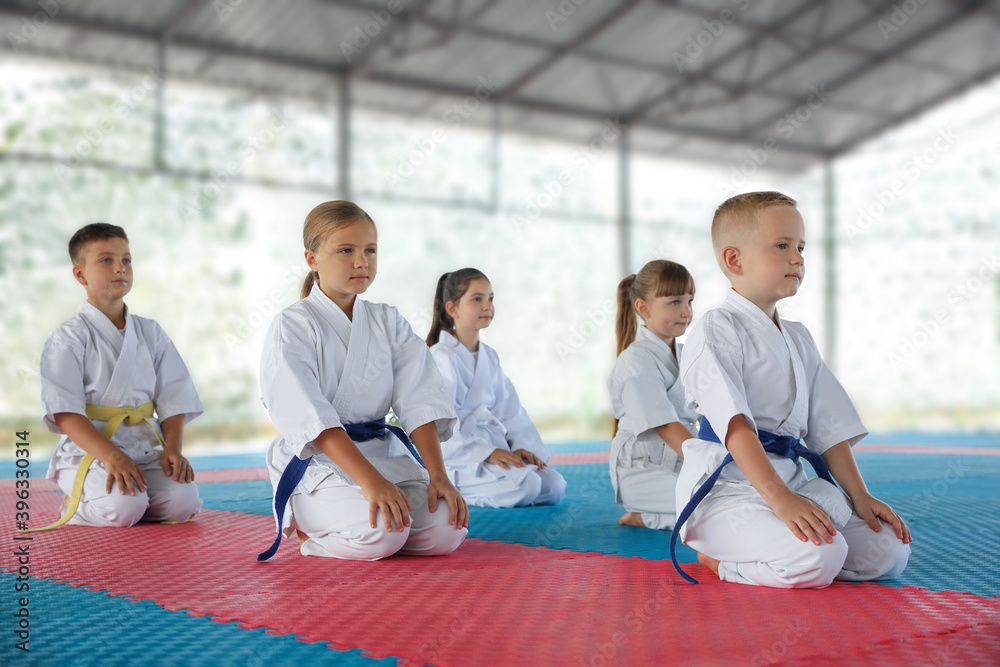 Children in kimono sitting on tatami outdoors. Karate practice Stock ...