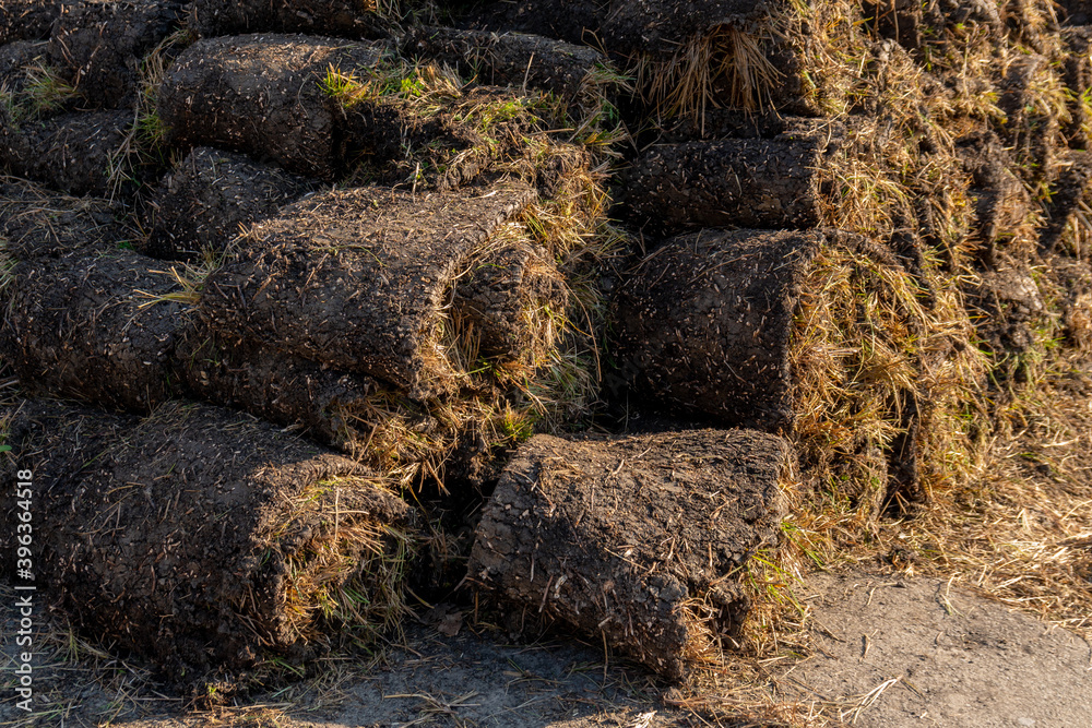 Lawn turf rolls stacked together, grass-plot in the rolls Stock Photo ...