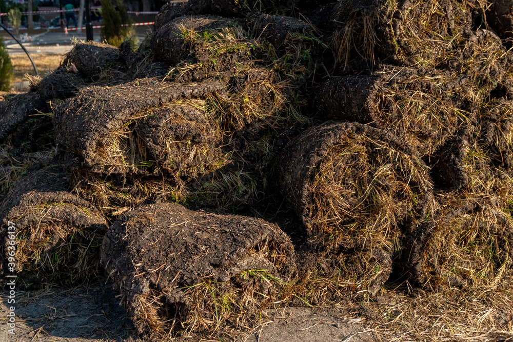Lawn turf rolls stacked together, grass-plot in the rolls Stock Photo ...