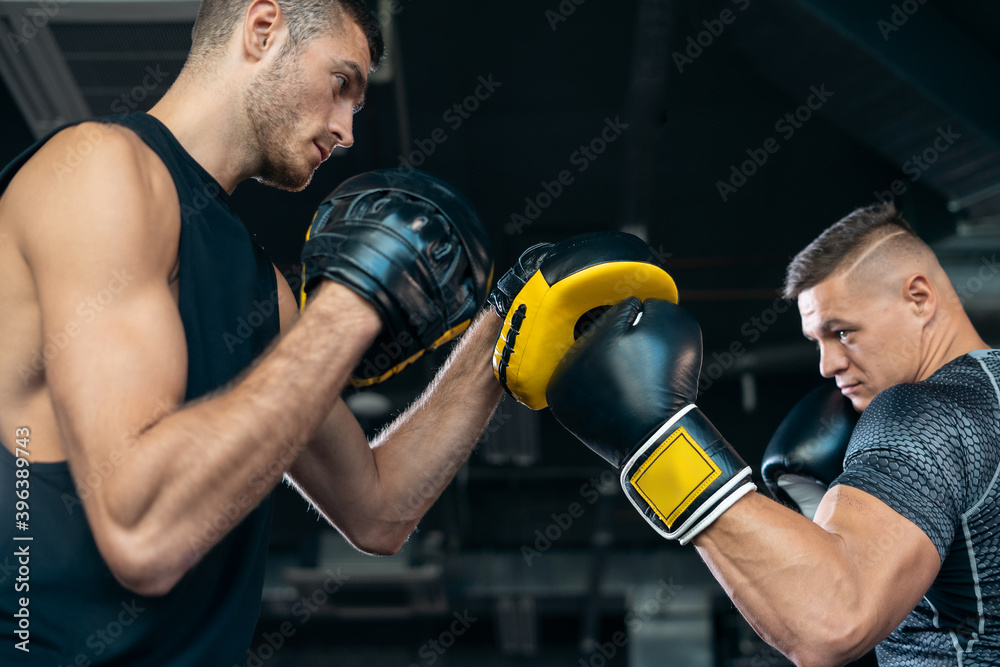 two muscle boxers sport man training and fighting on boxing ring at gym ...