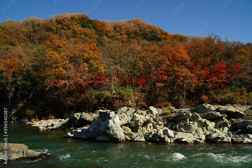 Nagatoro Cobblestone, ishidatami, and red autumn leaves are at Chichibu ...