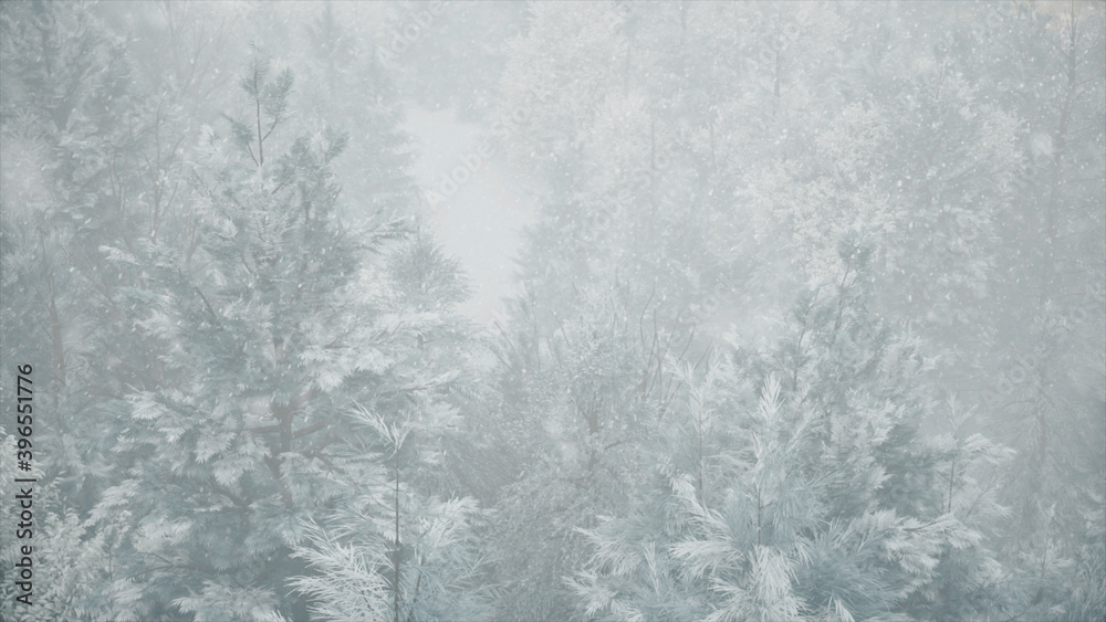 Winter snowfall in the forest, gentle lovely snowy Christmas morning ...