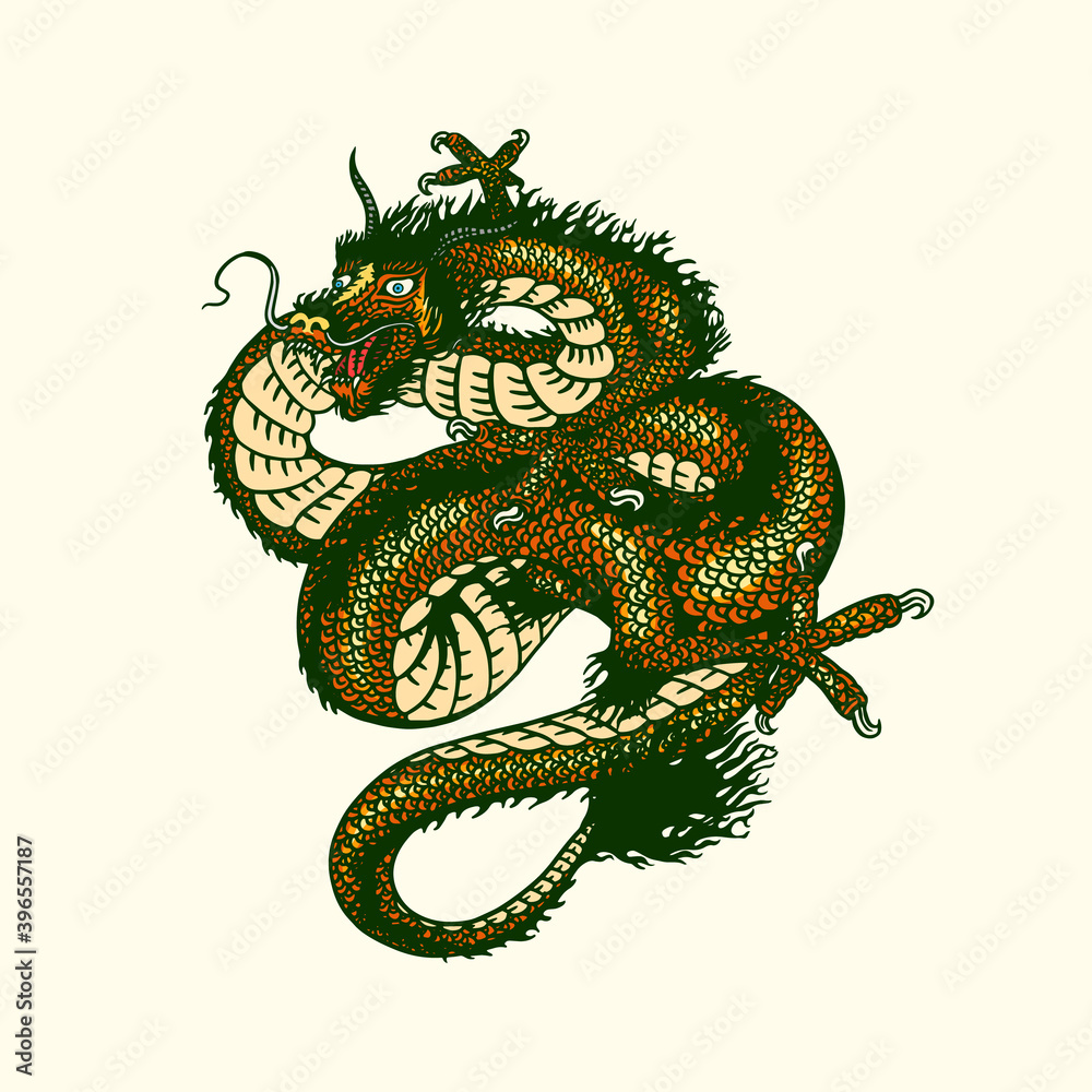 Japanese dragon. Mythological animal or Asian traditional reptile ...