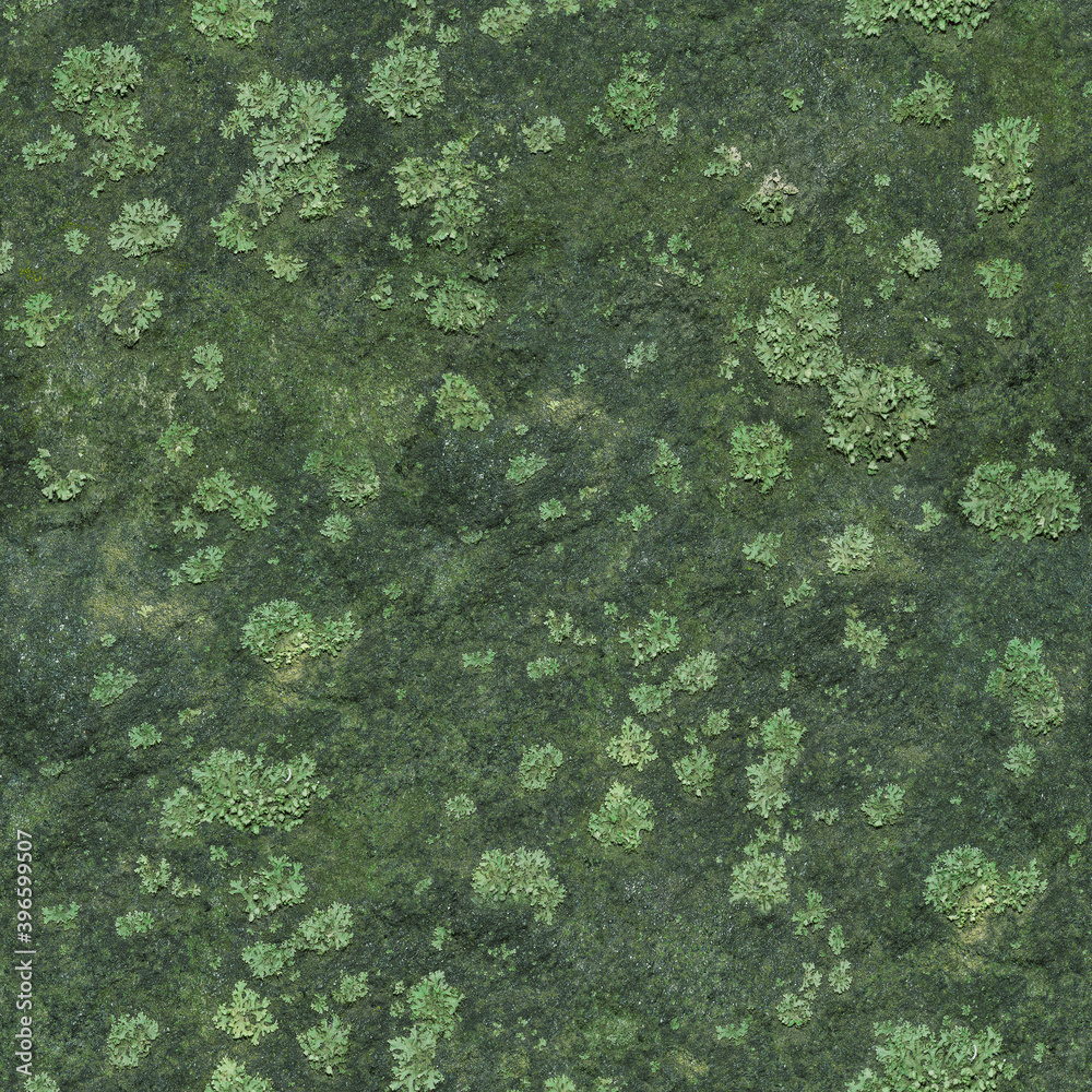 Mossy moss bitmap texture (for landscape designers) Stock Photo | Adobe ...