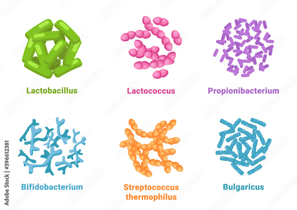 Probiotic set lactobacillus, lactococcus, propionibacterium ...