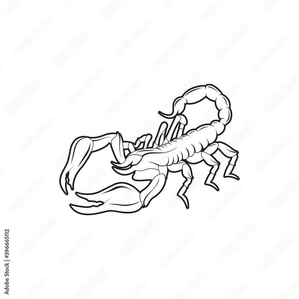 Scorpion drawing with outer lines. Vector Stock Vector | Adobe Stock