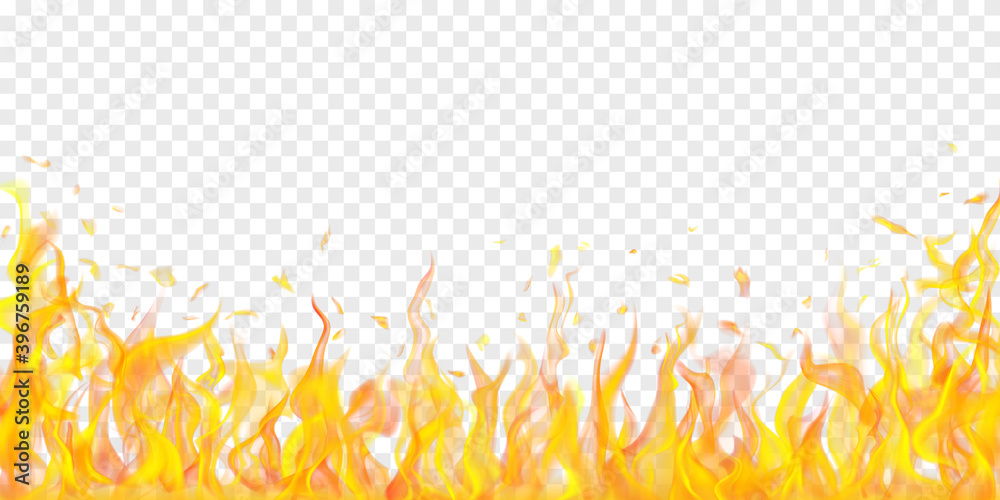 Translucent fire flames and sparks on transparent background. For used ...