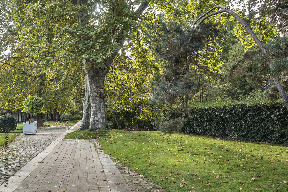 Foto de Yitzhak Rabin Garden in Bercy Park. Park of Bercy (Parc de ...