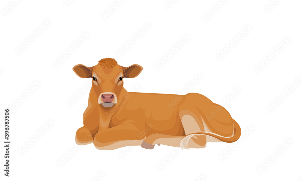 Beef Cow Vector