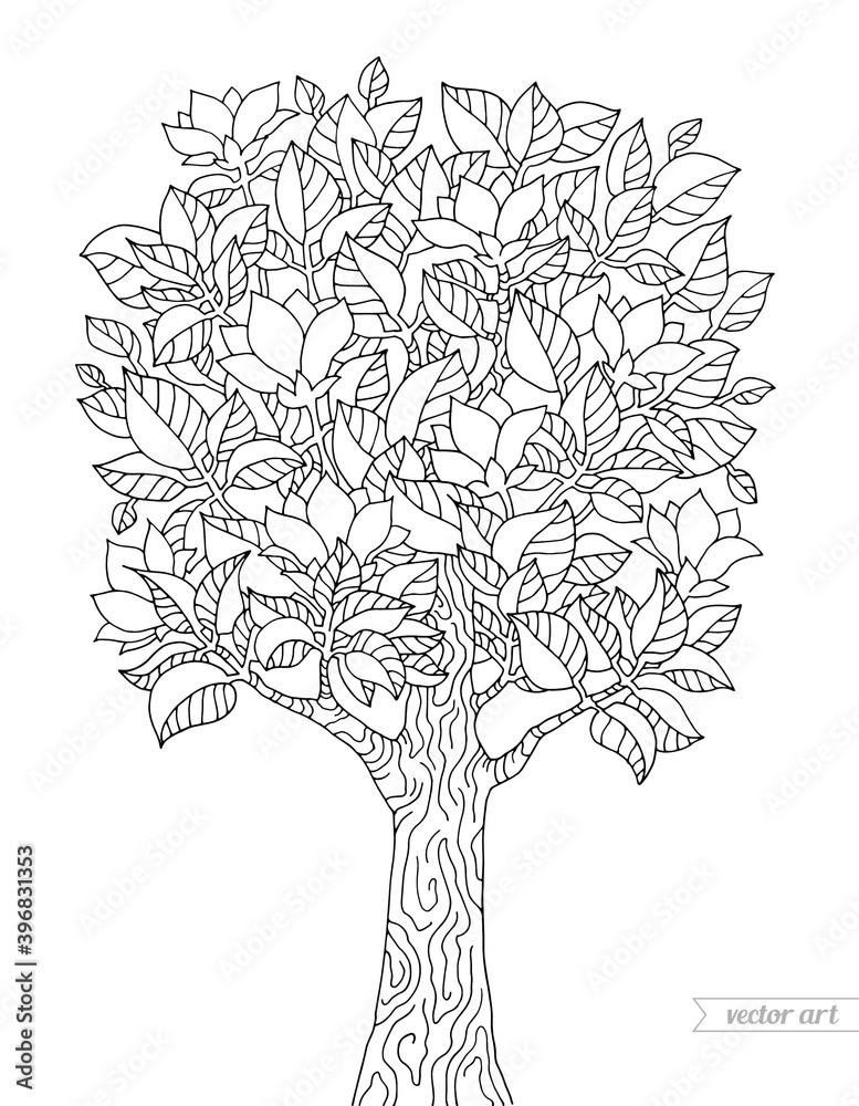 Magnolia tree with flowers isolated. Vector hand drawn artwork ...