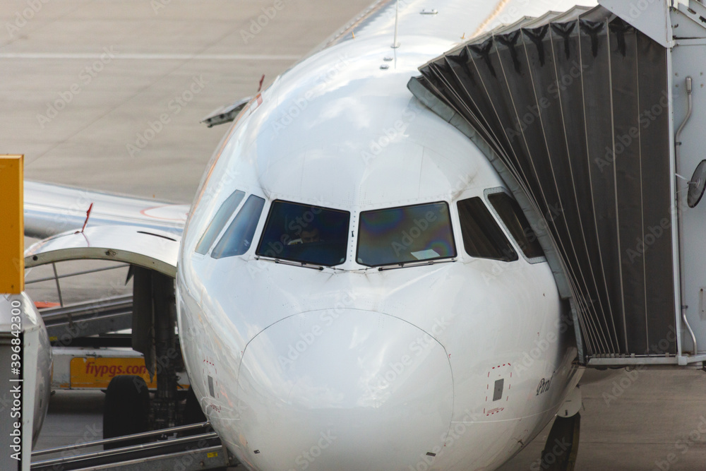 Front view of an Airbus a320 type jet on the airport apron. Jet bridge ...