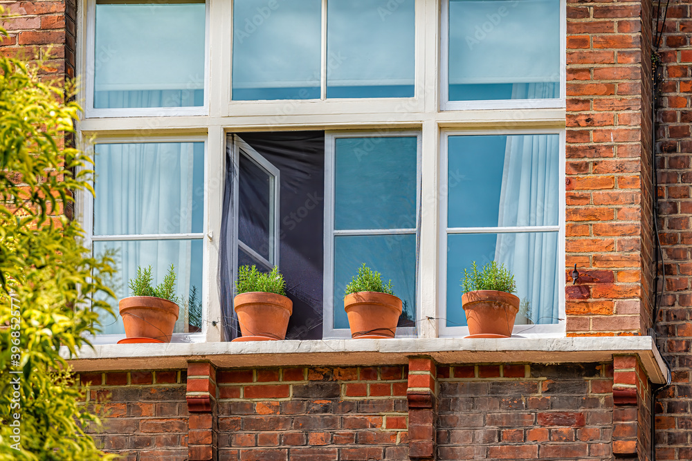 Window sill of red brick flat apartment building with gardening potted ...