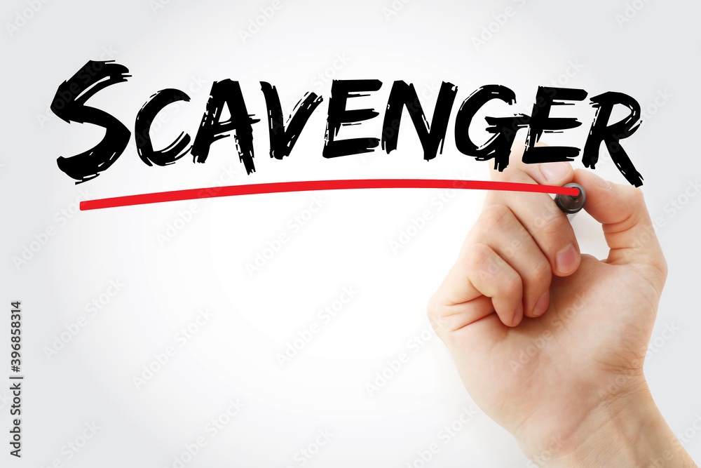 Scavenger text with marker, concept background Stock Photo | Adobe Stock