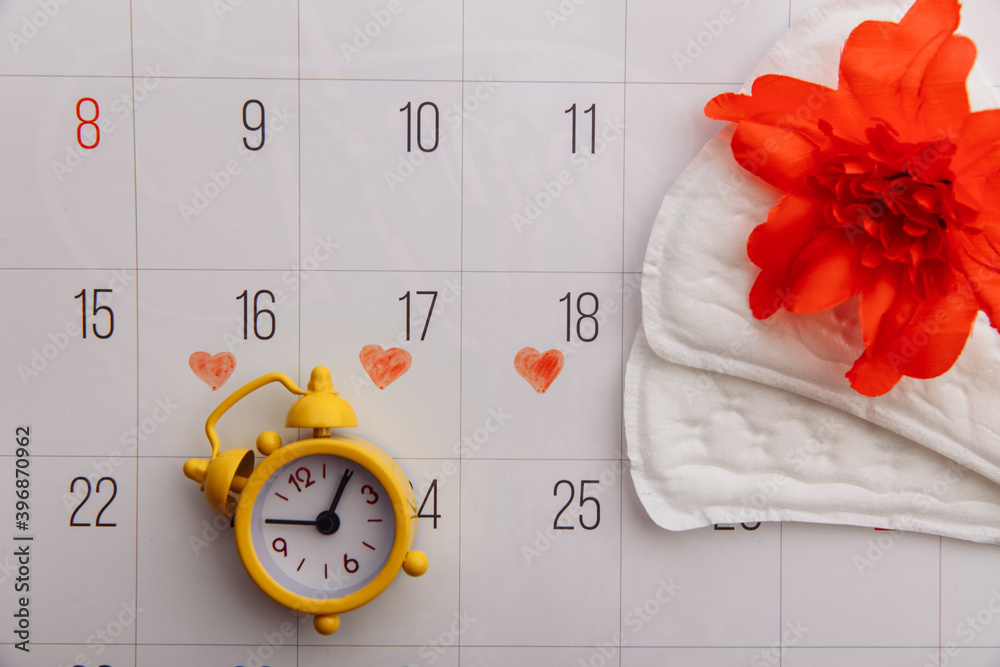 Female's menstrual cycle and hygiene concept. Menstrual calendar with ...