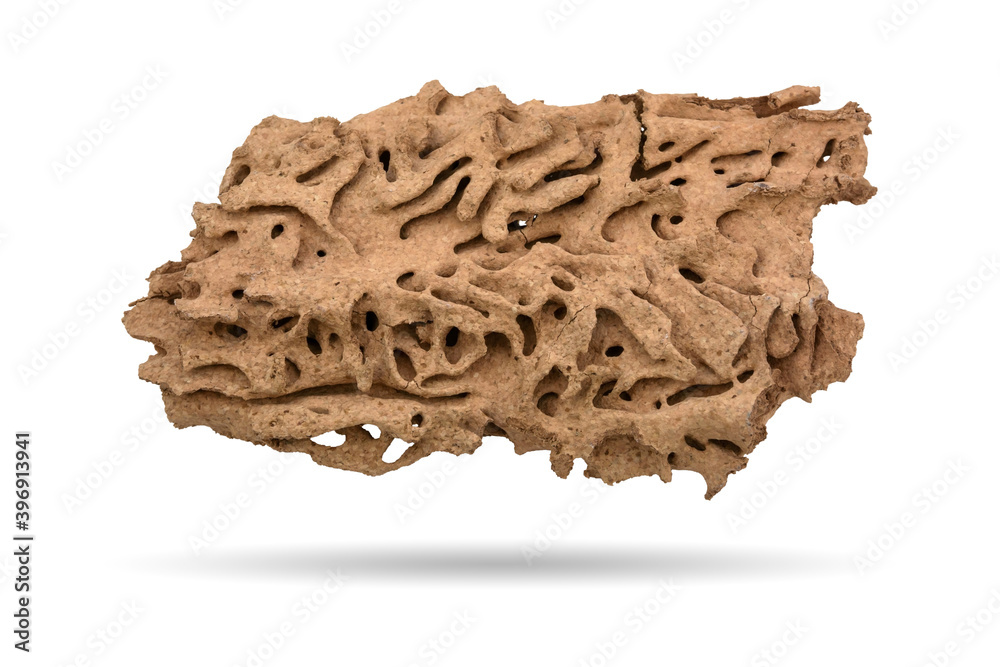 Walkway of Termite, Termite nest, home of Termite with shadow on white ...
