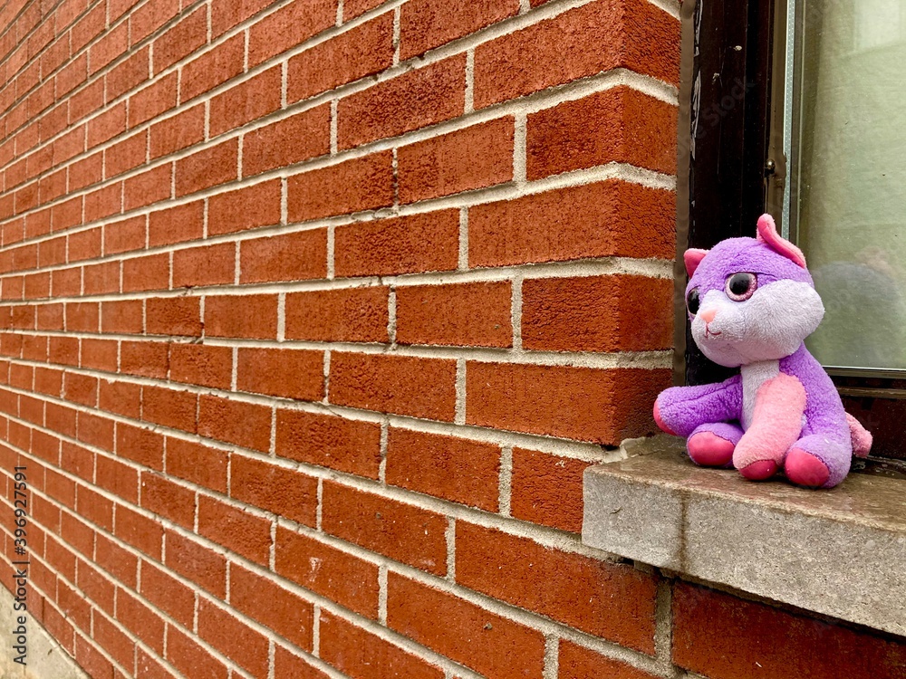 A little child toy, pink sad kitten, lost and left in the street window ...