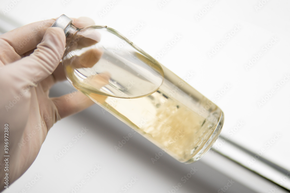 Psilocybin mushroom. Liquid culture of mycelium. Psilocybe cubensis ...