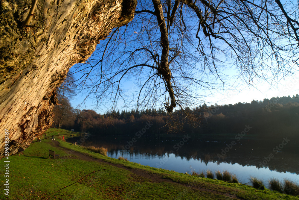 Callendar Park is the jewel in the crown of parks in Falkirk, central ...