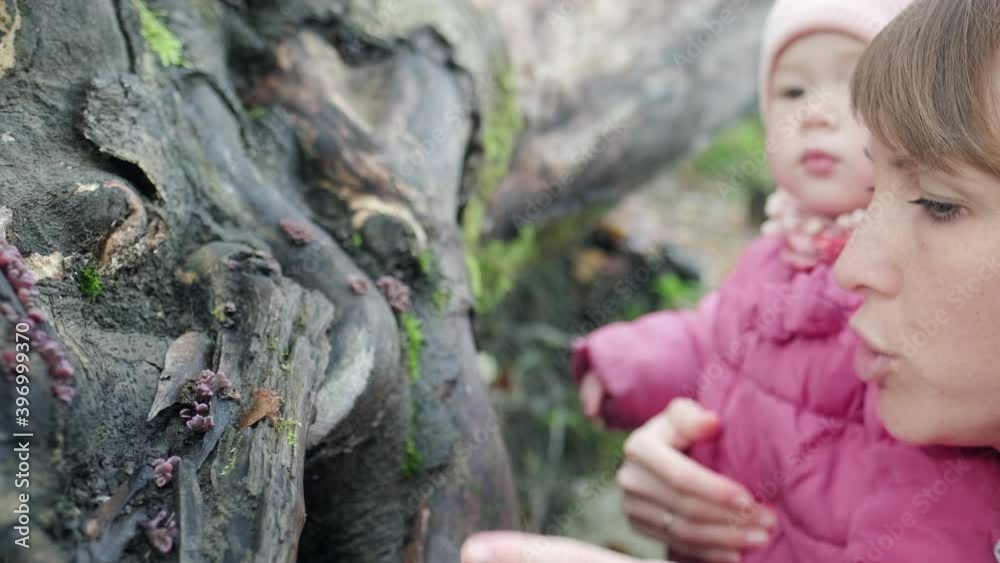 Family in the forest. Mother shows toddler girl the beauty of nature ...