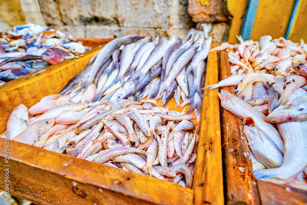 The fish market in center of Cairo, Egypt Stock Photo | Adobe Stock