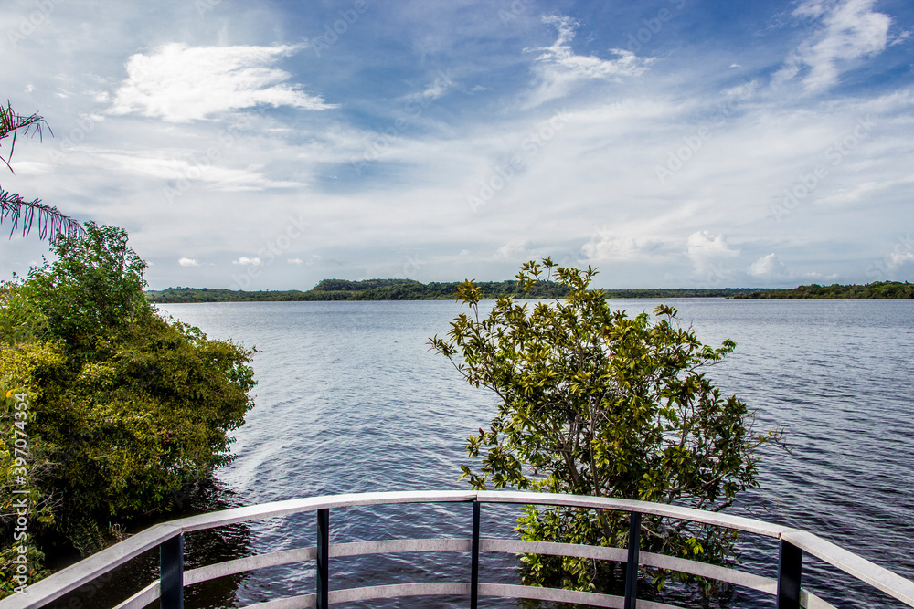 Fundo de barco com rio ao fundo floresta aquatica céu azul com nuvens ...