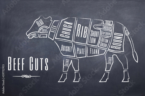 Understanding the different parts and cuts of beef Stock Illustration ...