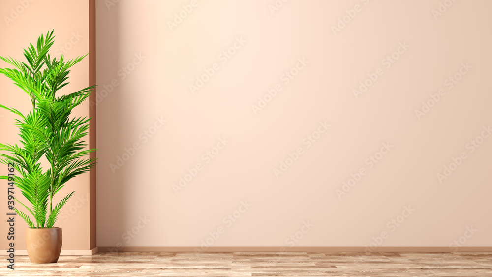 Interior background of room with coral wall and vase with palm 3d ...