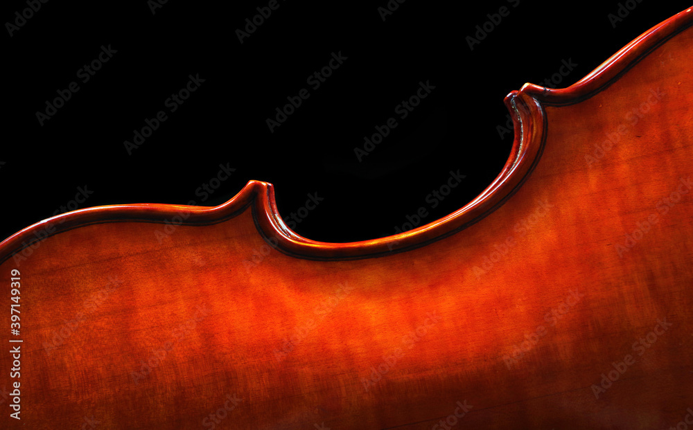 back of violin on black background. violin body close-up. violin ...